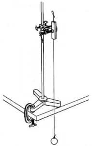 Pendulum Physics Lab: Answers & Explanation | SchoolWorkHelper