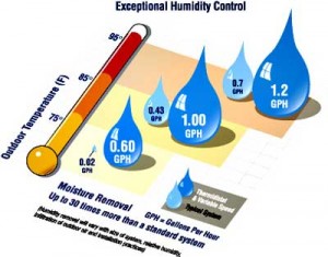 What is Humidity? Water in the Air! | SchoolWorkHelper