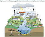 Water Pollution from Industry | SchoolWorkHelper