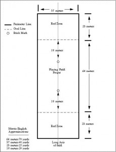 Ultimate Frisbee: Rules, Teams, Play | SchoolWorkHelper