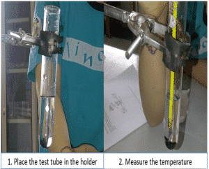 Lab Answers: Energy from Burning Food | SchoolWorkHelper