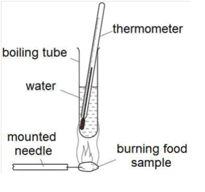 Energy Content of Food Lab Report Answers | SchoolWorkHelper
