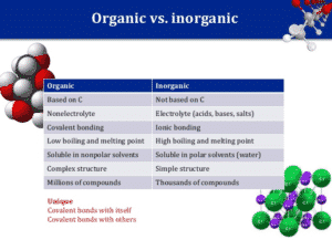 Organic vs. Inorganic Chemistry | SchoolWorkHelper