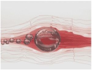 Velocity of a Bubble Lab: Explained | SchoolWorkHelper