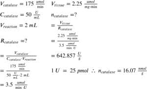 Liver Enzyme Lab Explained | SchoolWorkHelper