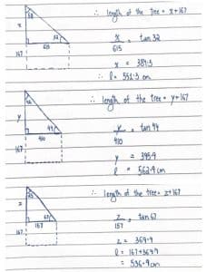 Trigonometry Tree Height: Solution | SchoolWorkHelper