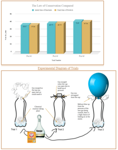 Conservation of Mass Lab: Explained & Answers | SchoolWorkHelper